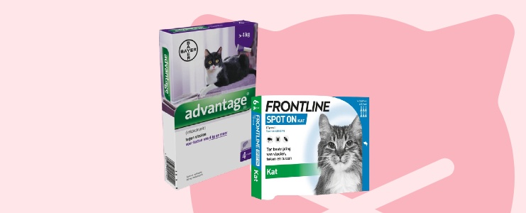 Hoe bescherm je je kat tegen vlooien? | bol.com