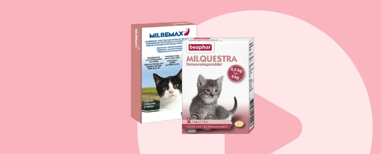Kittenwinkel | bol