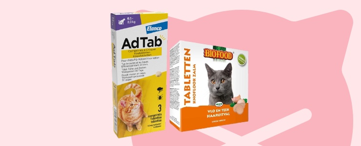 Hoe bescherm je je kat tegen vlooien? | bol.com